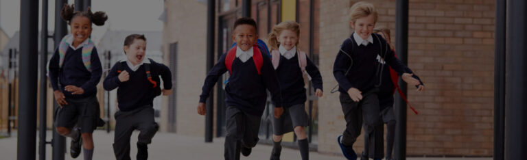 How The Boxall Profile® Online Works