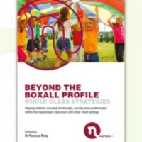 How The Boxall Profile® Online Works