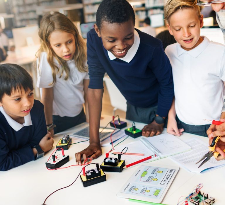 How The Boxall Profile® Online Works