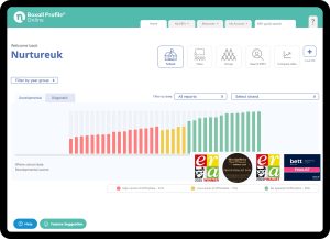 How The Boxall Profile® Online Works